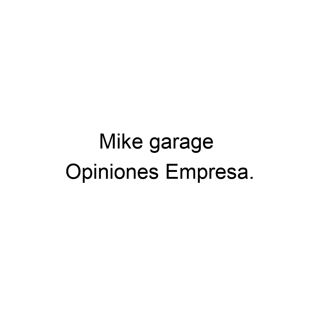 Opiniones Mike garage,